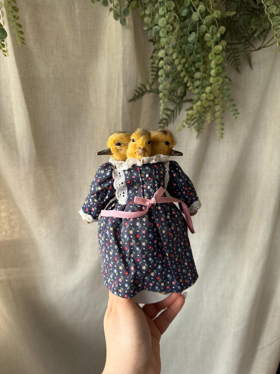 Three Headed Duckling Taxidermy Doll - Etsy