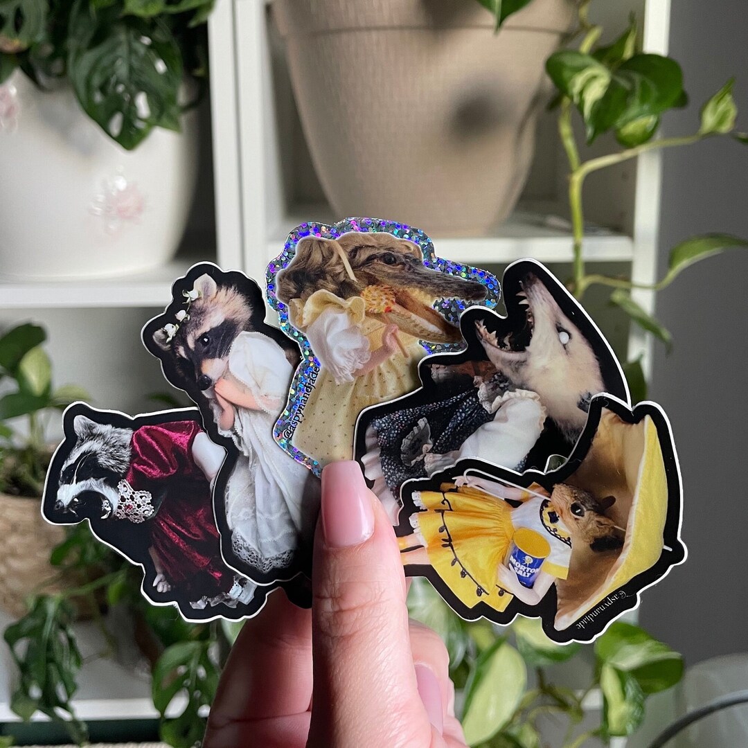 Sticker BUNDLE of 5 | Raccoon | Angry Opossum | Oddity | Gator Sticker ...