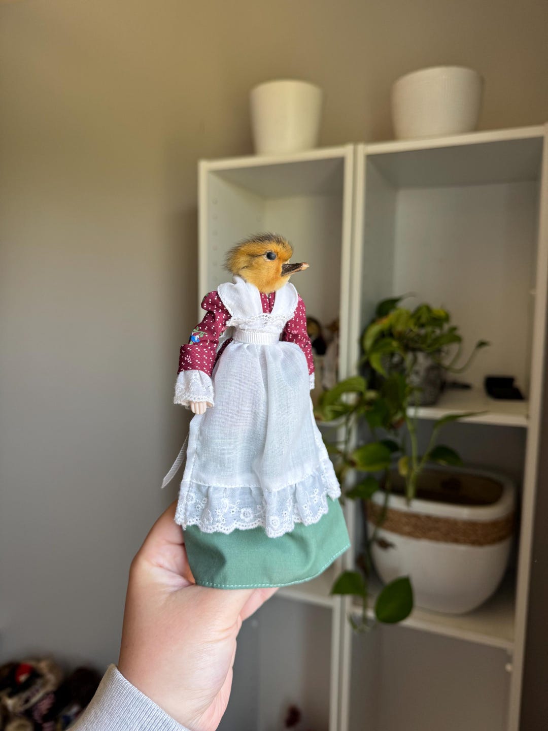 Duckling Taxidermy Doll - Etsy