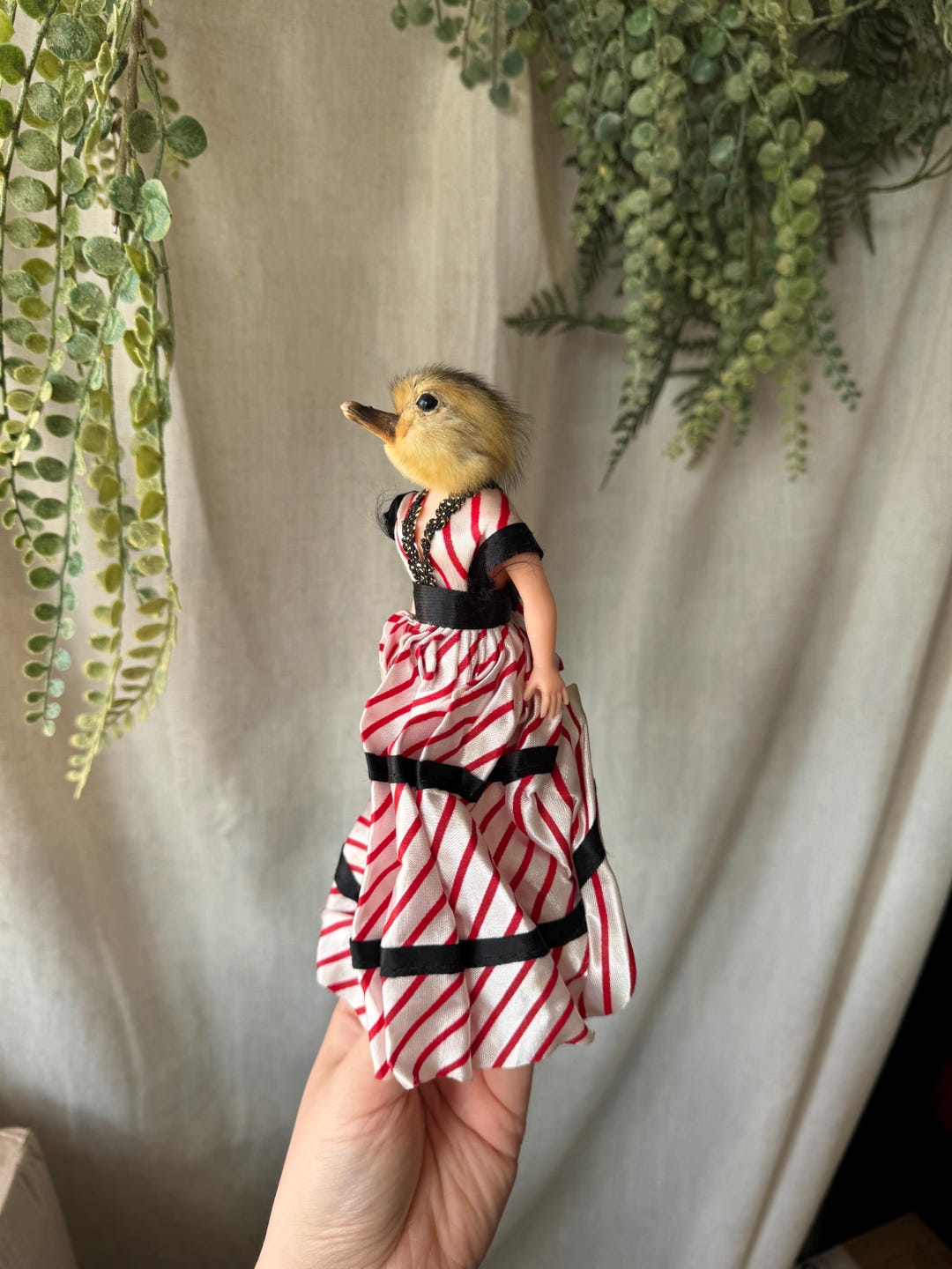 Duckling Taxidermy Doll - Etsy