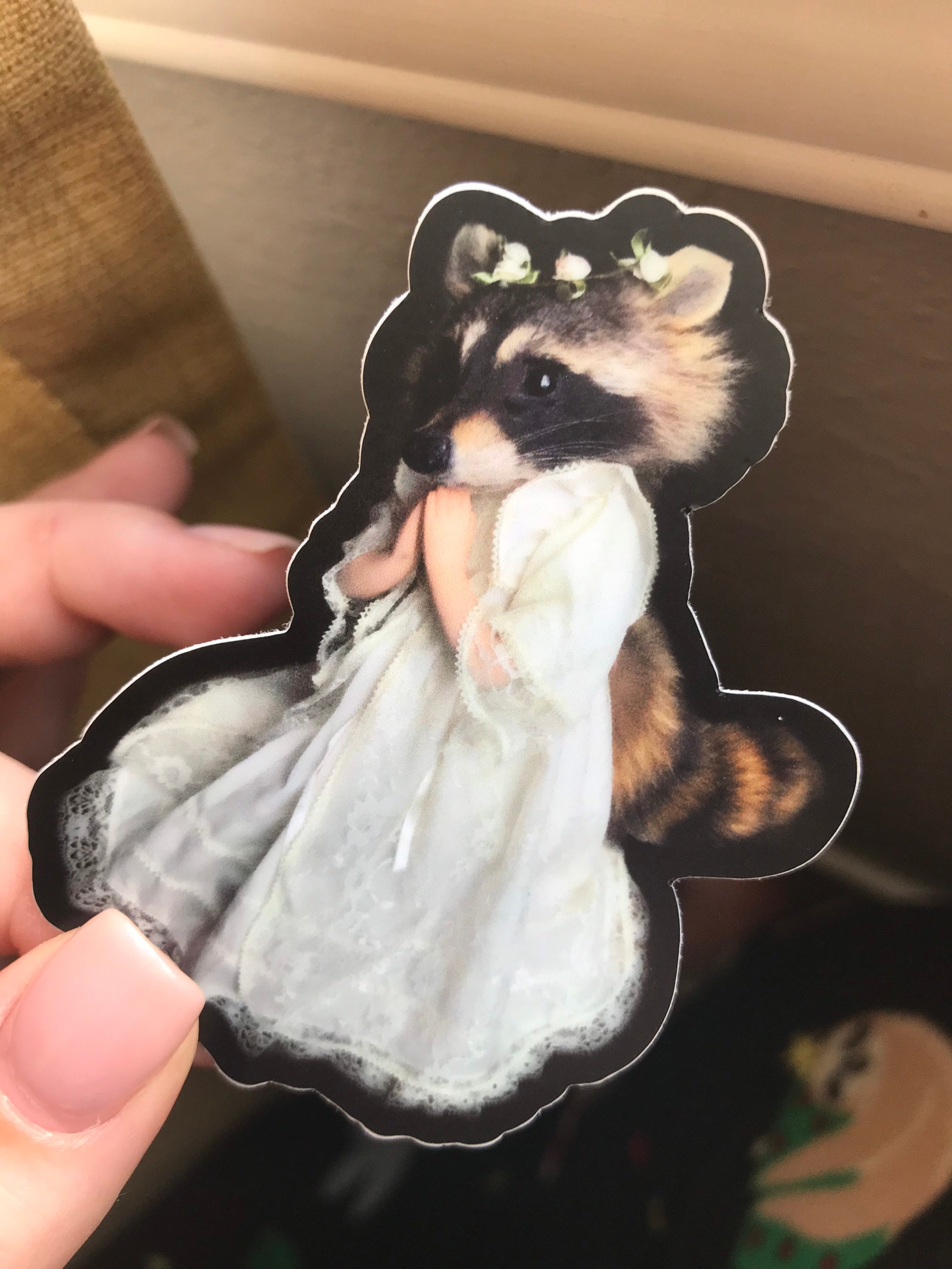 STICKER Praying Raccoon Sticker Oddity Sticker Raccoon - Etsy Singapore
