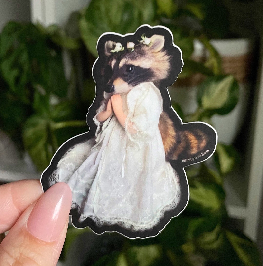 STICKER Praying Raccoon Sticker | Oddity Sticker | Raccoon Sticker ...