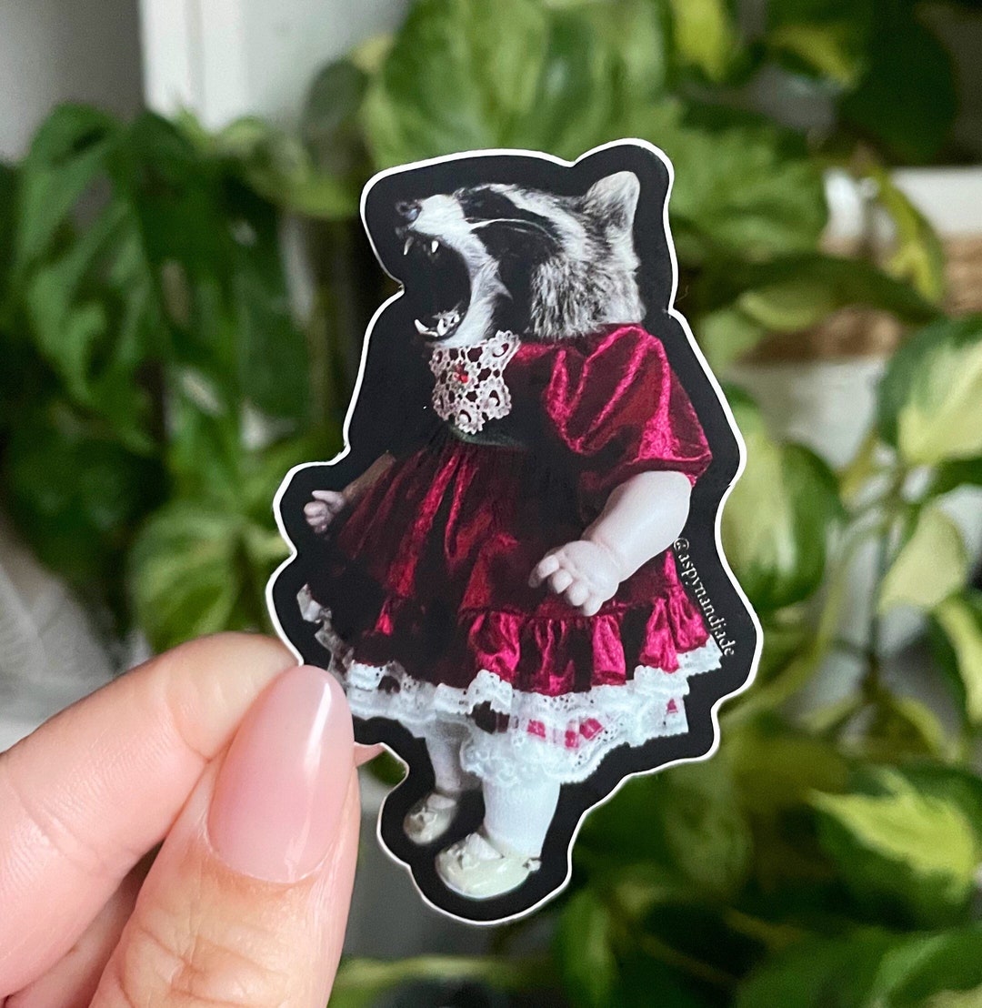 Sticker Angry Raccoon Oddity Sticker Weird Taxidermy Oddities ...