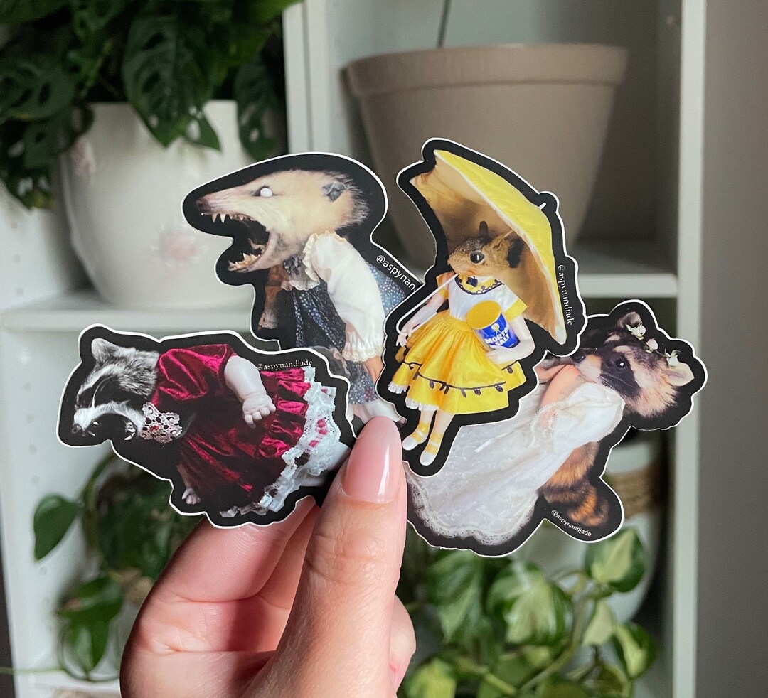 Sticker BUNDLE of 4 Praying Raccoon Angry Opossum Oddity Raccoon ...