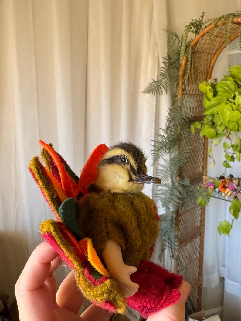 Turkey Duckling Taxidermy Doll - Etsy