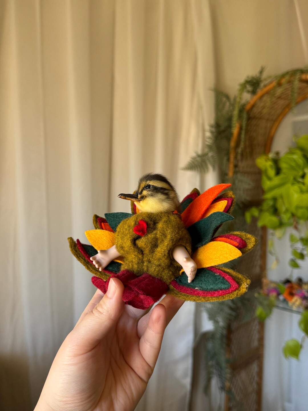 Turkey Duckling Taxidermy Doll - Etsy