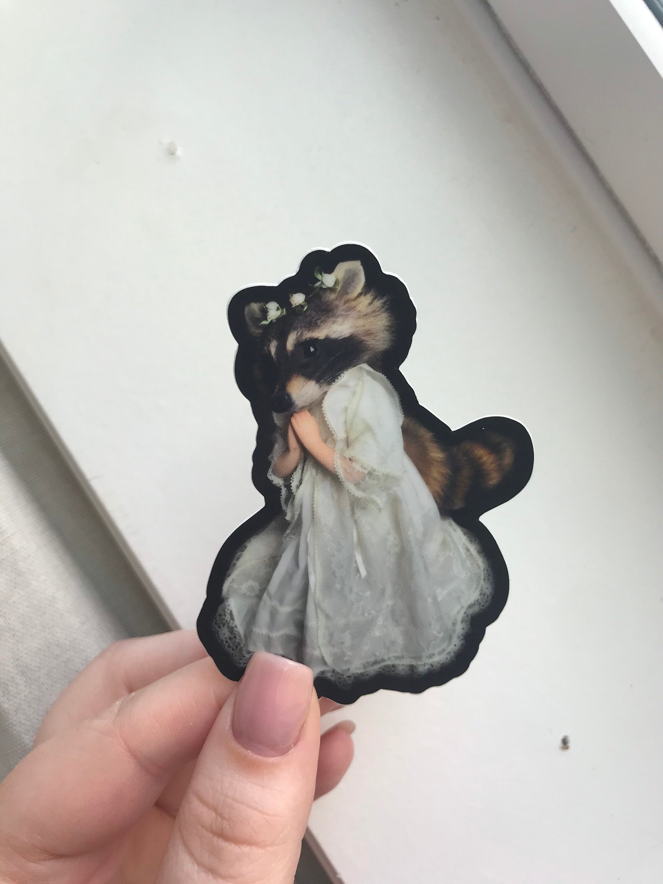 STICKER Praying Raccoon Sticker Oddity Sticker Raccoon - Etsy
