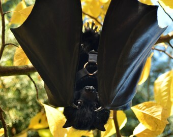 Realistic Bat | Etsy