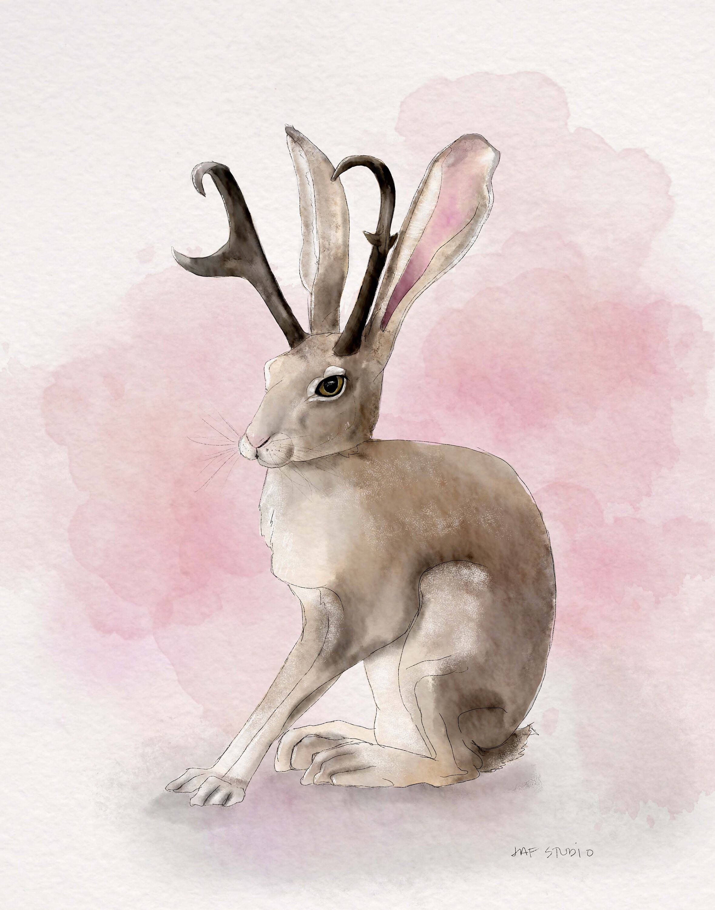 Mythical Jackalope on Pink Background/art Print Download/kids Room ...