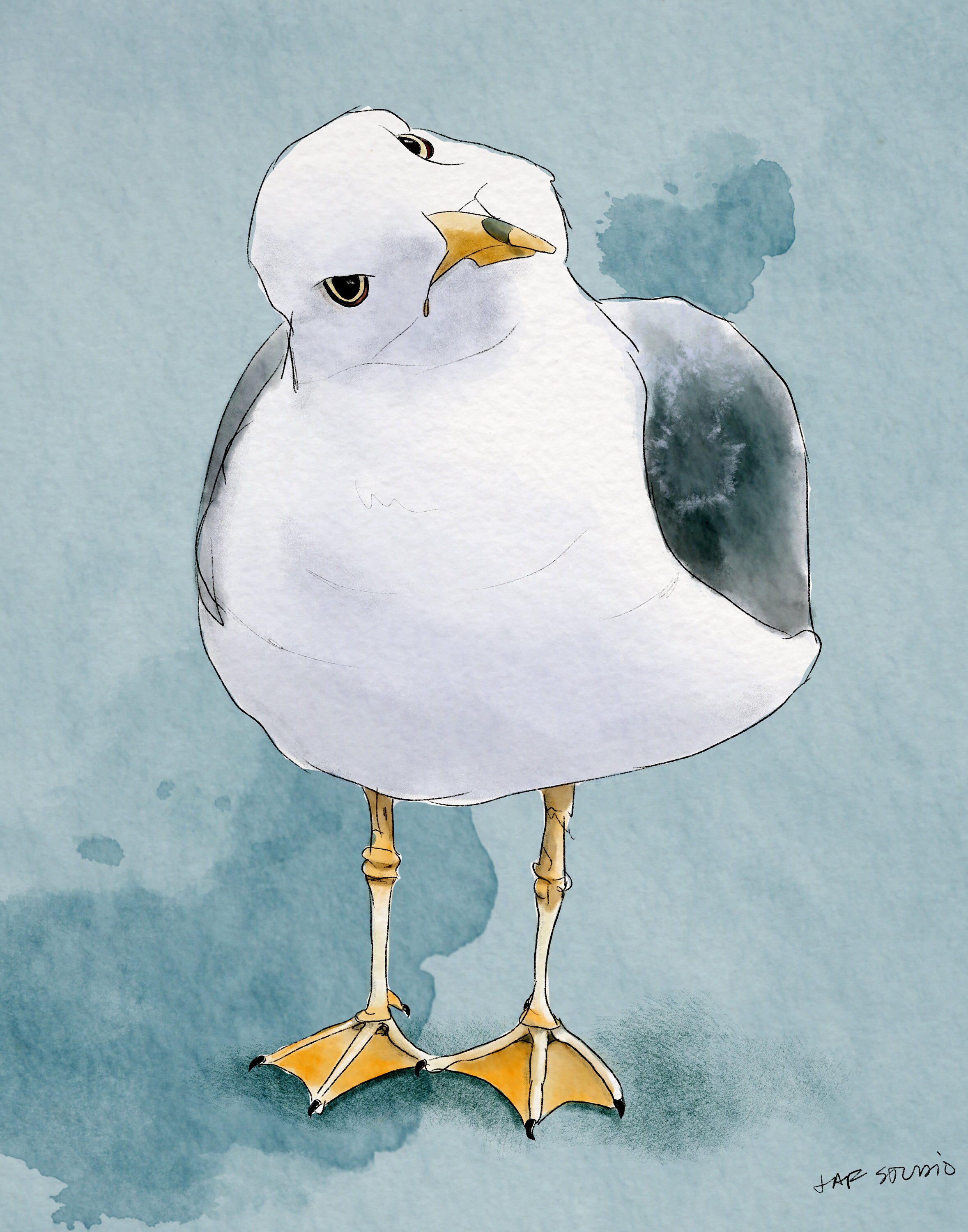 Curious Seagull/seagull Art Print/hand Drawn Watercolor | Etsy