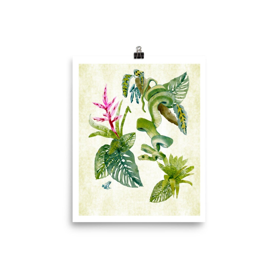 Tropical Jungle Green Snake Art Print/original Art/unframed/watercolor ...