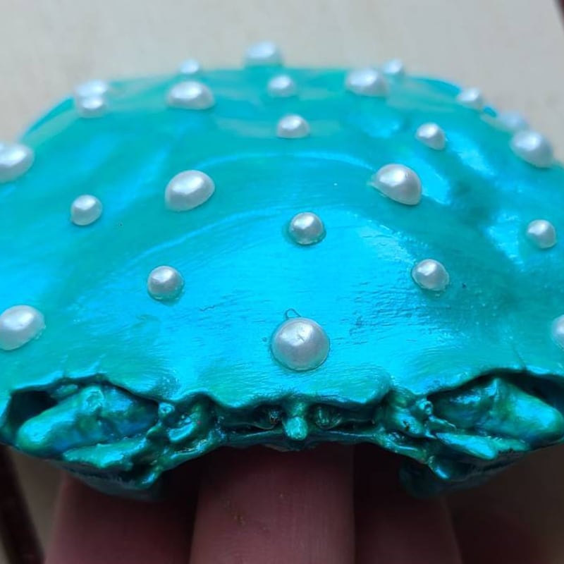 Teal Shells - Etsy