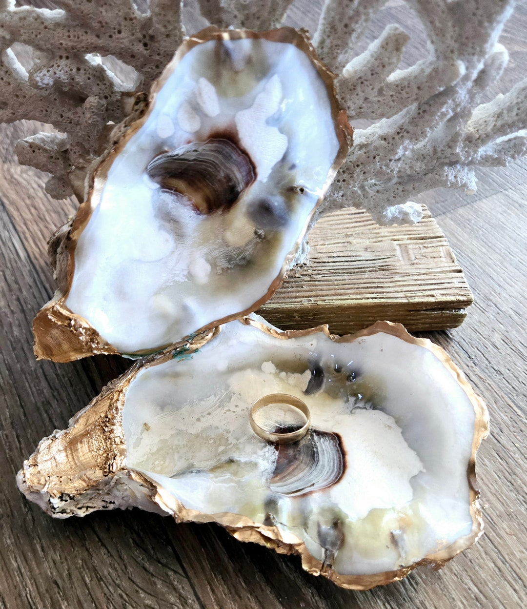 Extra Large Oyster Shell Proposal Box. Oyster Shell Ring Box. Oyster ...