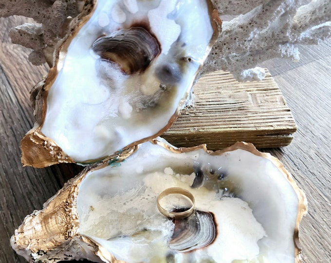 Extra Large Oyster Shell Proposal Box. Oyster Shell Ring Box. Oyster ...