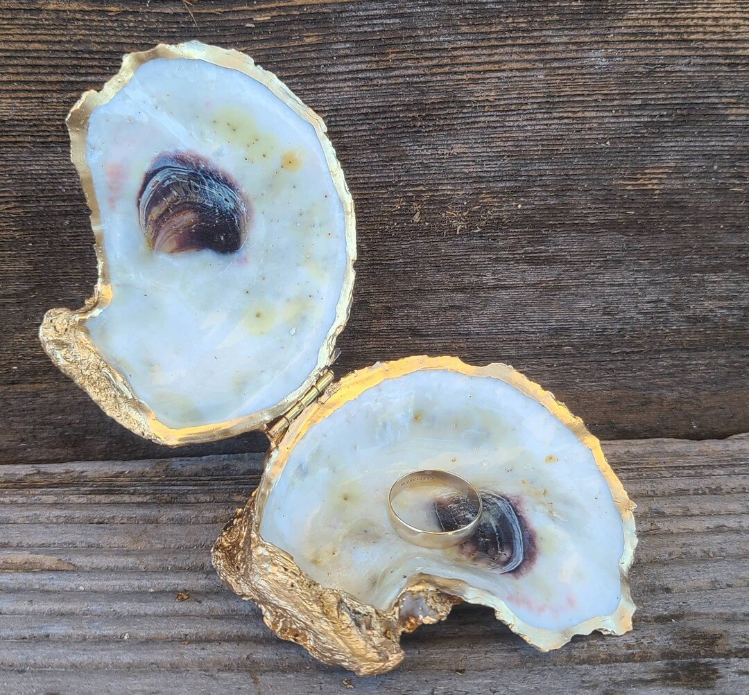 Large Oyster Shell Proposal Box.oyster Shell Ring Box.oyster Shell Ring ...