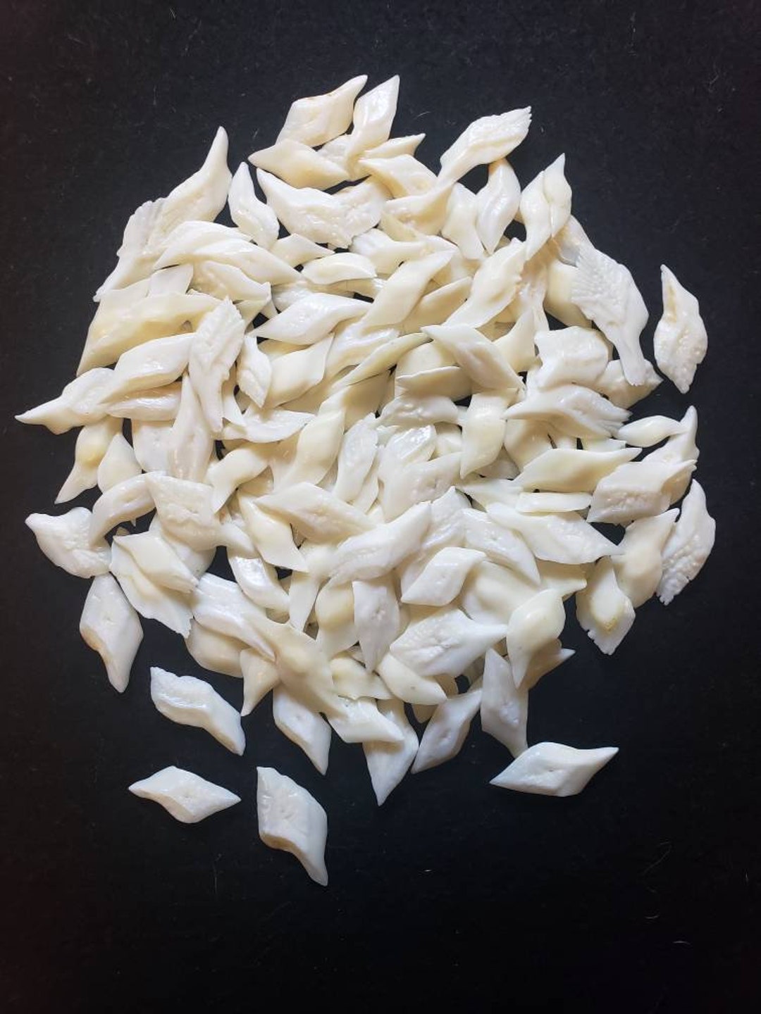 Alligator Gar Scales Approximately 300+ Mixed Sizes. Fish Bones - Etsy