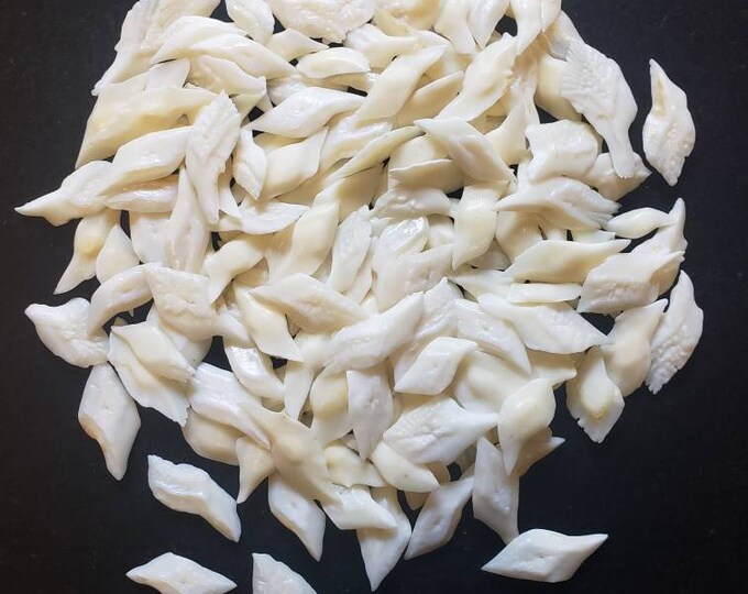 Alligator Gar Scales Approximately 300+ Mixed Sizes. Fish Bones - Etsy