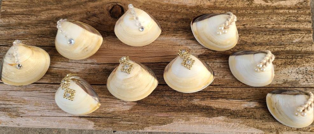 Clam Shell Rin Box, Proposal Box, Seashell Ring Box, Sheshell Rung Dish ...