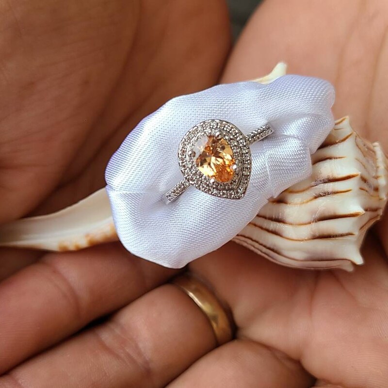Seashell Ring Holder - Etsy