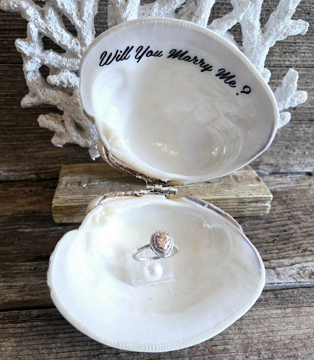 Clam Shell Proposal Box. Will You Marry Me? Beach Wedding. Beach ...