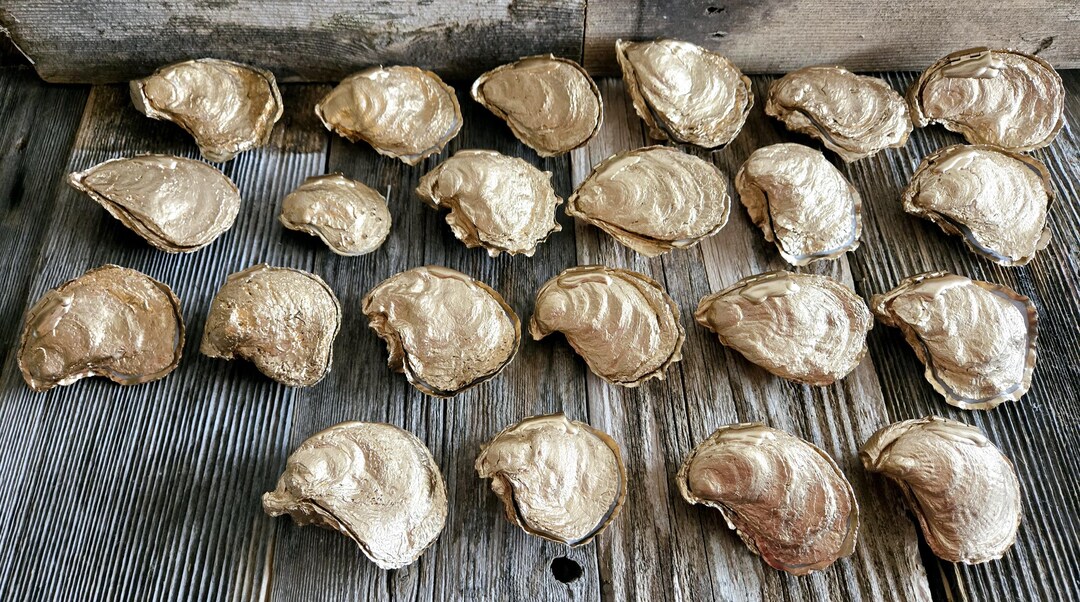 Mini Oyster Shell Ring Box/seashell Ring Box - Etsy
