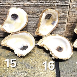 Mini Oyster Shell Ring Box/seashell Ring Box Gold - Etsy