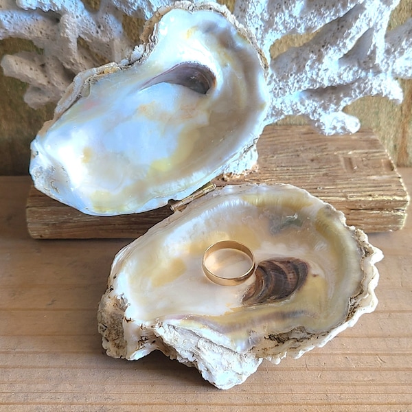 Shell Ring Box - Etsy