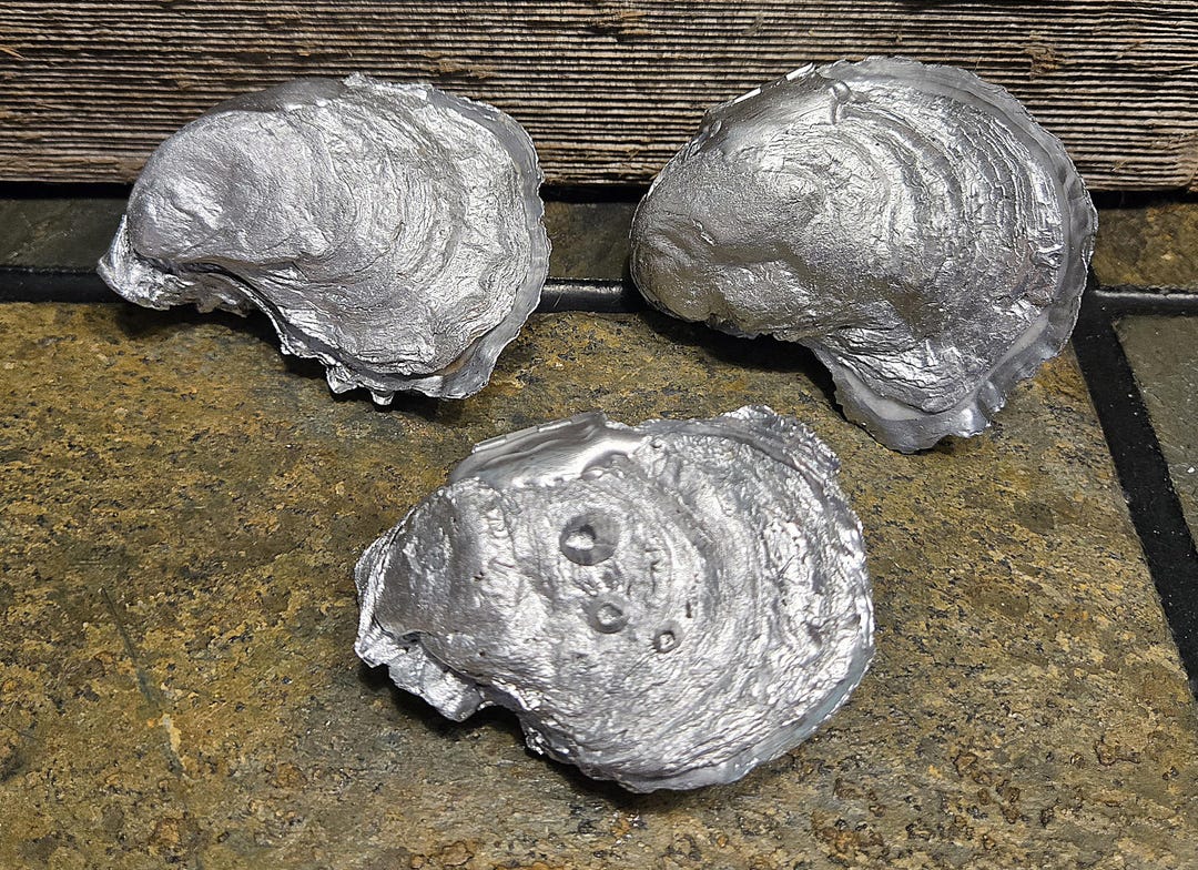 Mini Oyster Shell Ring Box/seashell Ring Box Silver - Etsy