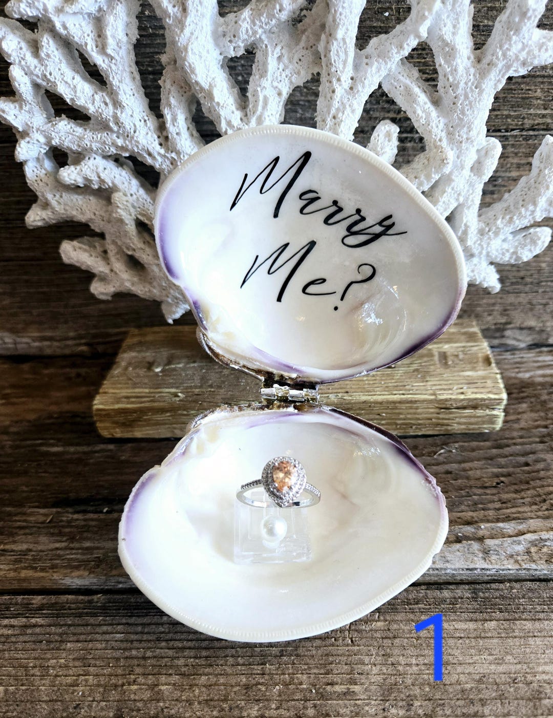 Clam Shell Proposal Box. Marry Me? Beach Wedding. Beach Proposal. - Etsy