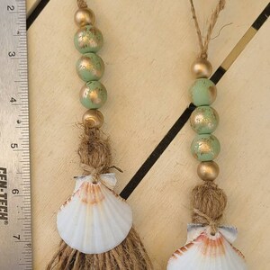 Set of 2 Scallop and Oyster Shell Door Pulls. Seashell Ornaments - Etsy