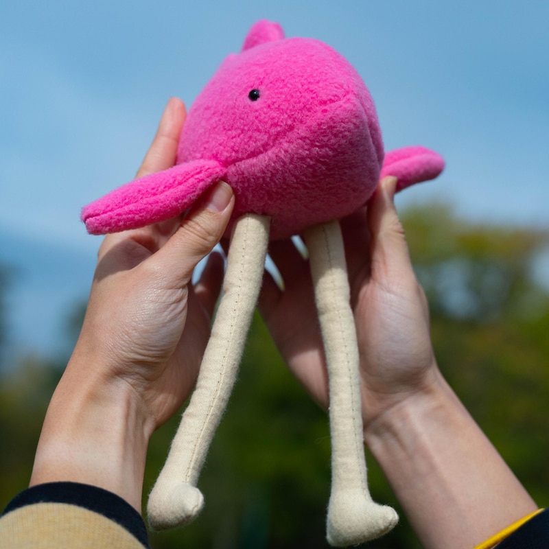 Fish With Legs Toy - Etsy
