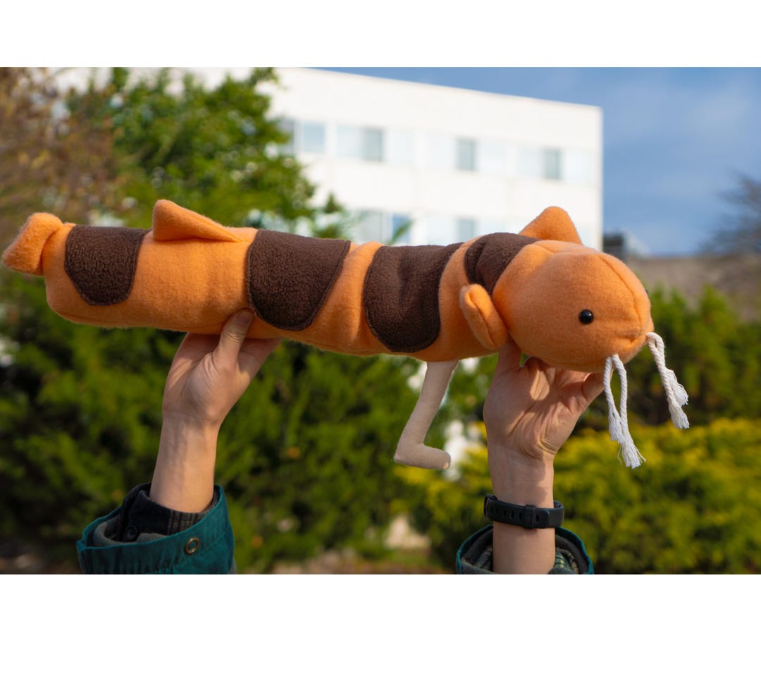 Kuhli Loach Fish With Legs Plushie - Etsy