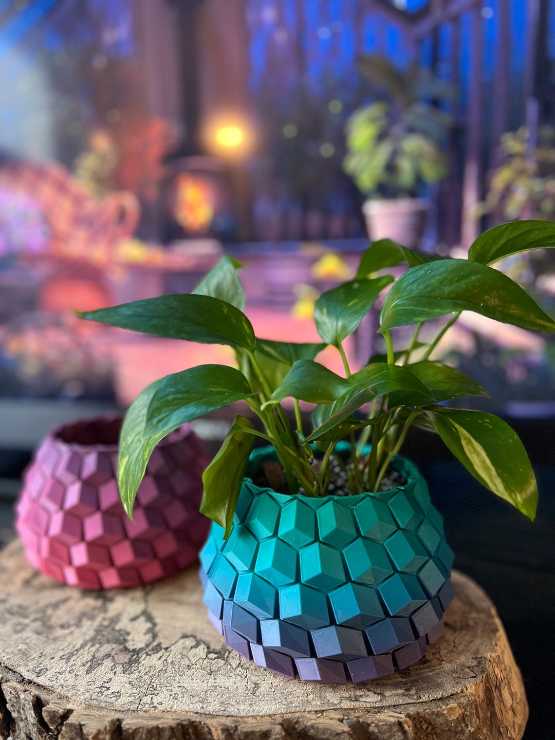 Honeycomb Planter | 3D Printed | Made to Order | With Drainage ...