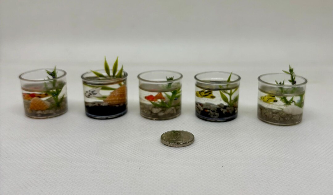 Miniature Fish Bowl - Etsy