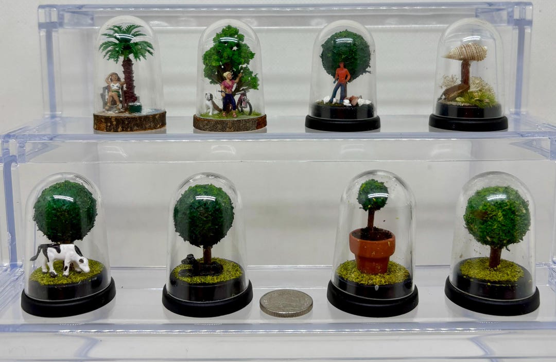 Miniature "glass" Dome Unique Decor - Etsy