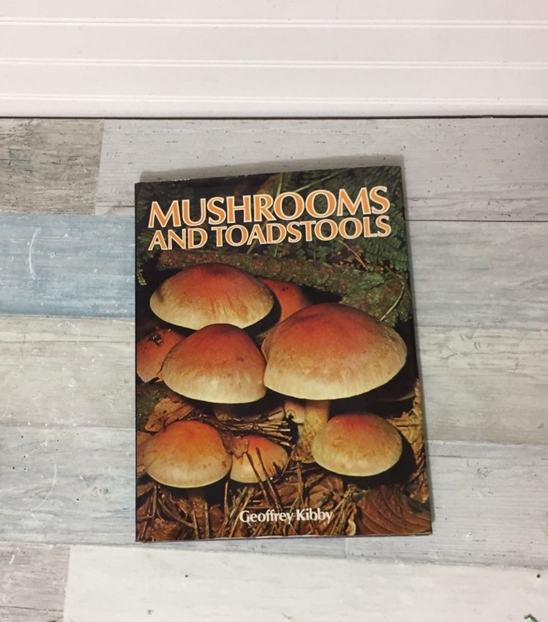 Mushrooms and Toadstools HC Book, Geoffrey Kibby, 1977 - Etsy