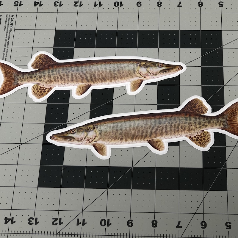 Muskie - Etsy