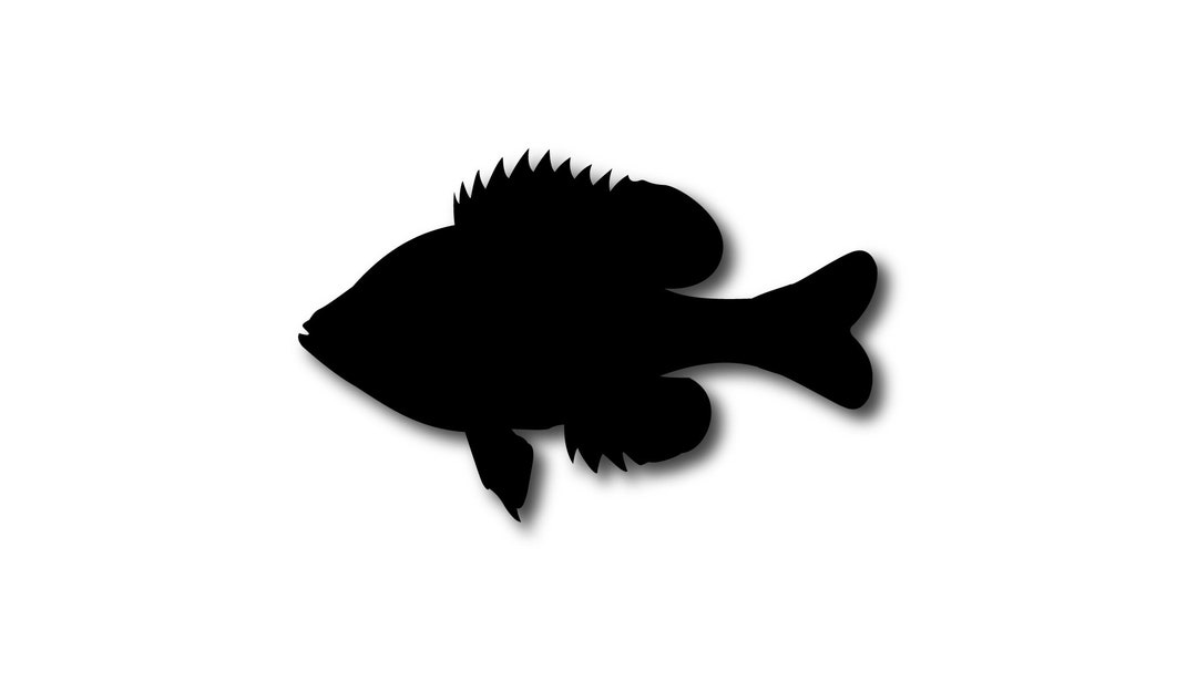 Bluegill Silhouette Decal - Etsy
