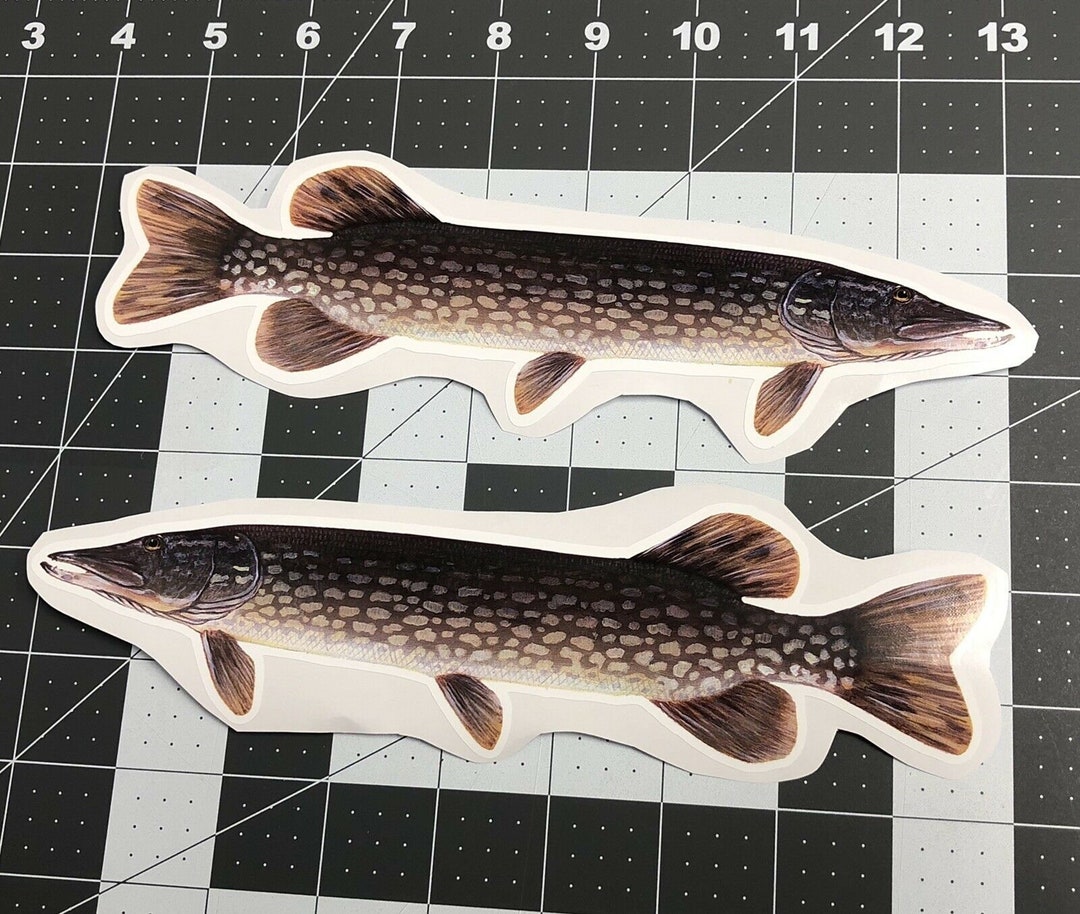 Northern Pike Sticker/decal - Etsy