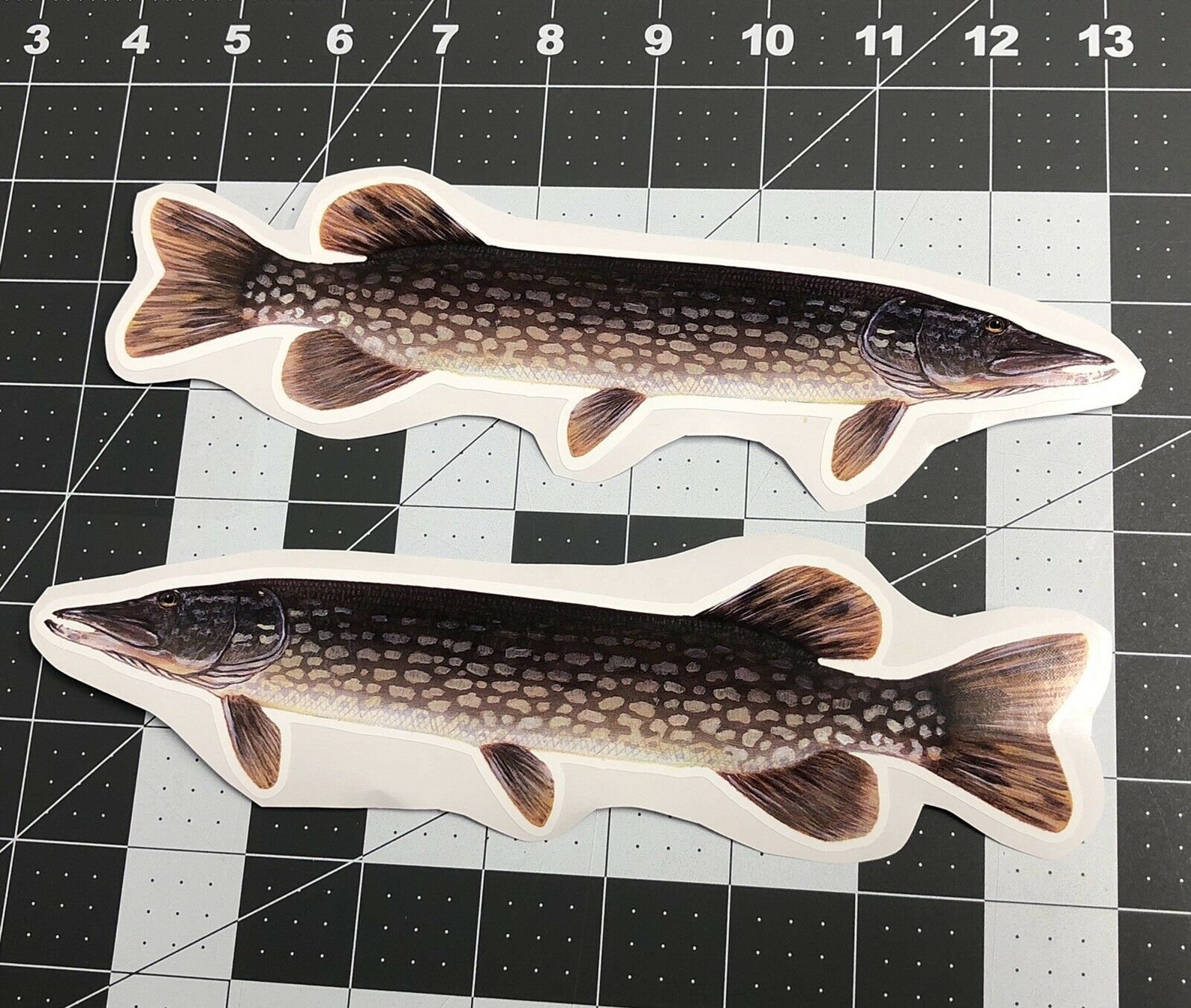 Northern Pike Sticker/decal - Etsy