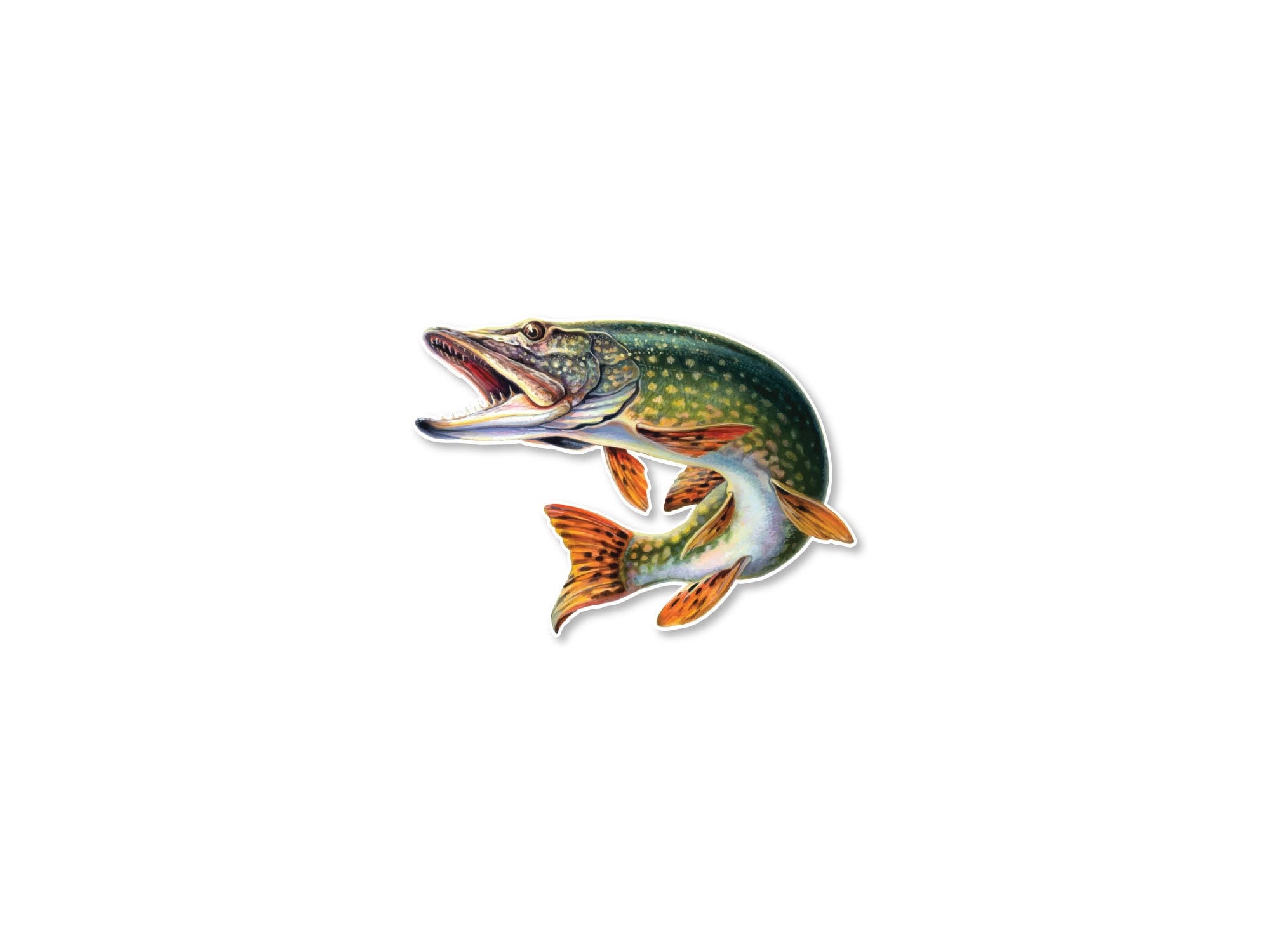 Pike Jumping Vinyl Sticker/decal - Etsy
