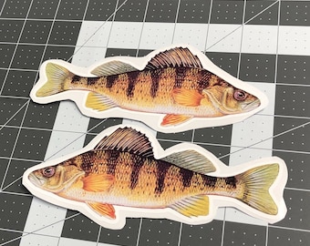 Yellow Perch Decal, Yellow Perch Sticker, Yellow Perch - Etsy
