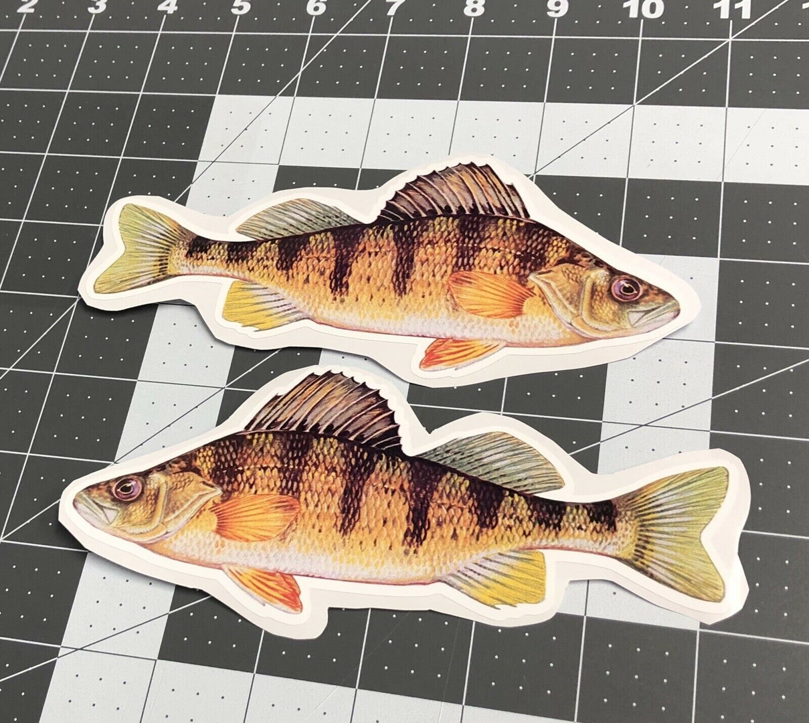 Yellow Perch Sticker/decal - Etsy