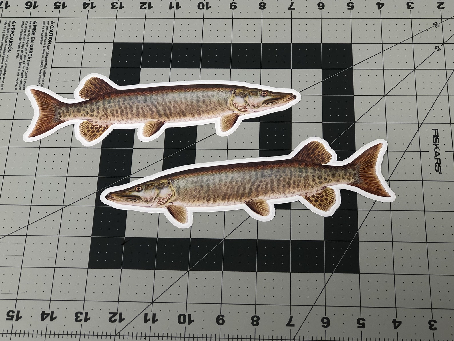 Musky Sticker/Decal | Etsy