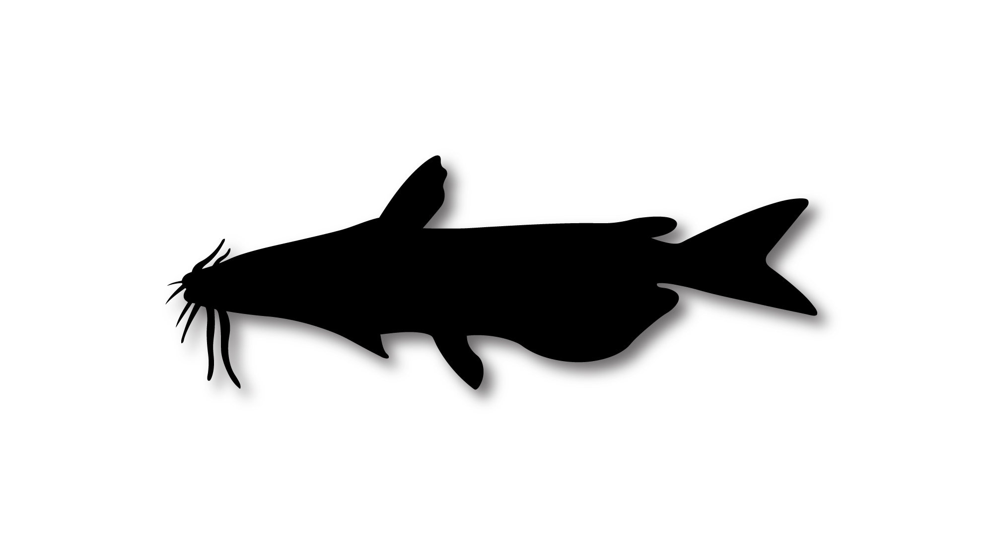Catfish Silhouette