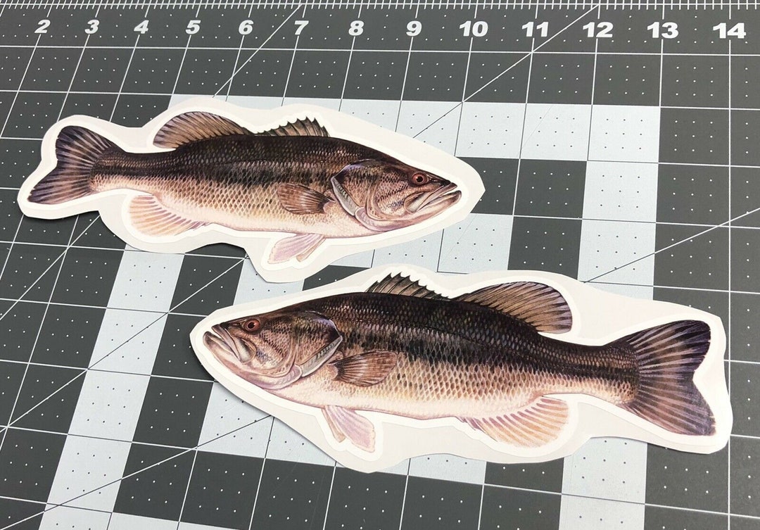 Largemouth Bass Sticker/decal - Etsy