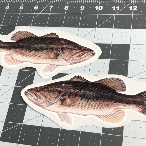 Jumping Largemouth Bass Vinyl Cut Decal - Etsy