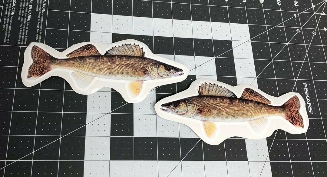 Walleye Sticker/decal - Etsy