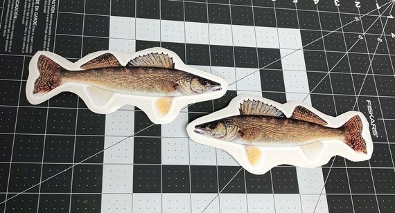 Walleye Sticker/decal | Etsy