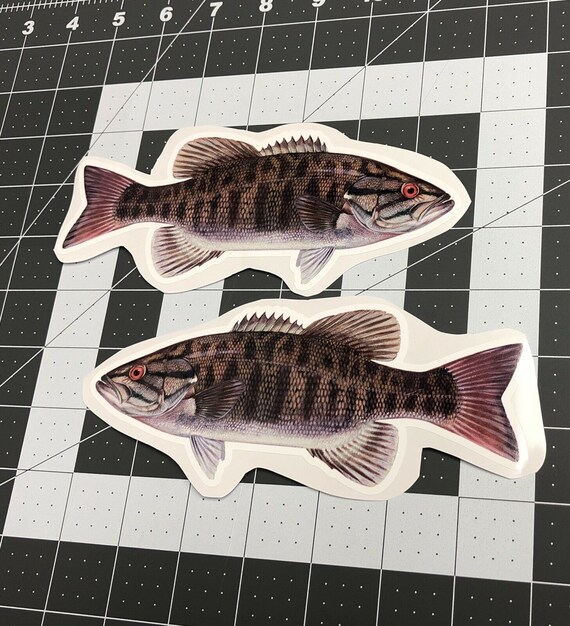 Smallmouth Bass Sticker/decal - Etsy
